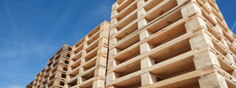 New Wood Pallets | The Pallet Company